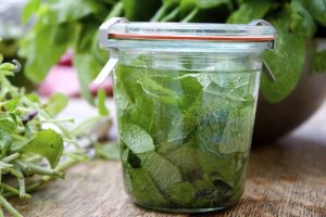 What to Do With Sage (Especially when you have too much!)